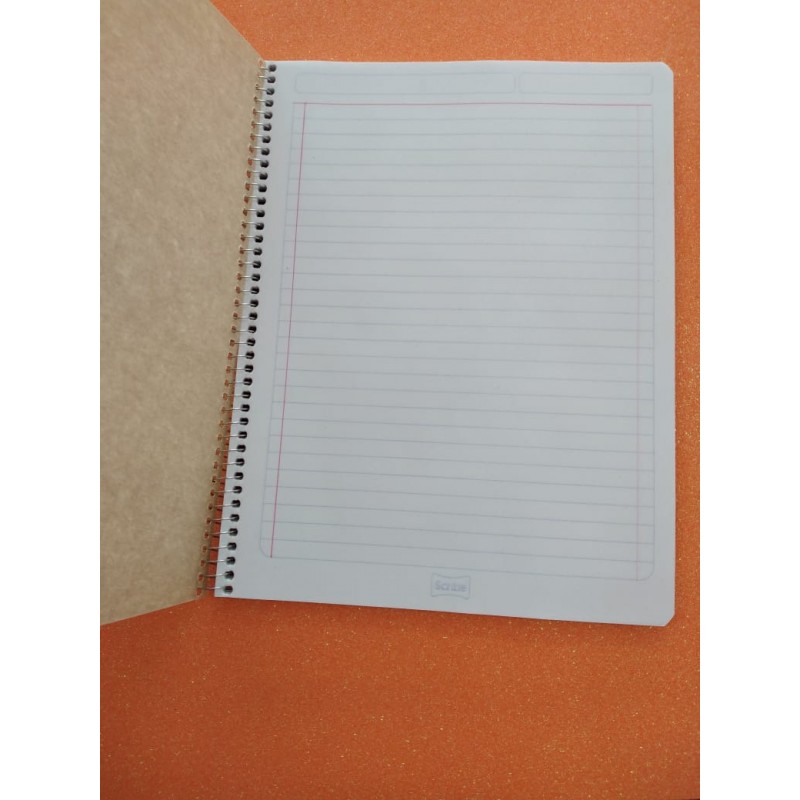 Cuaderno Profesional Scribe Raya c/100